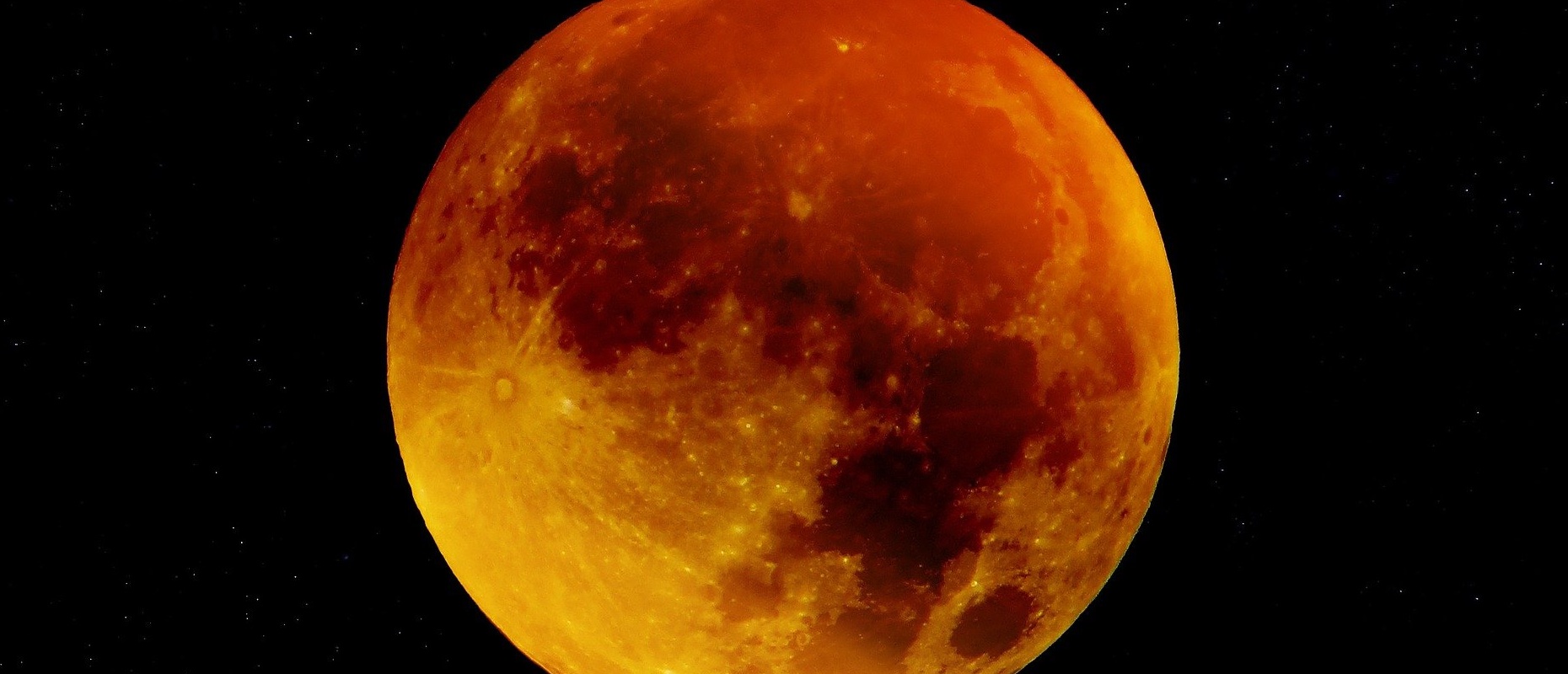 Holy Curiosity: The Fearful and Fascinating Mystery of the Eucharistic ...